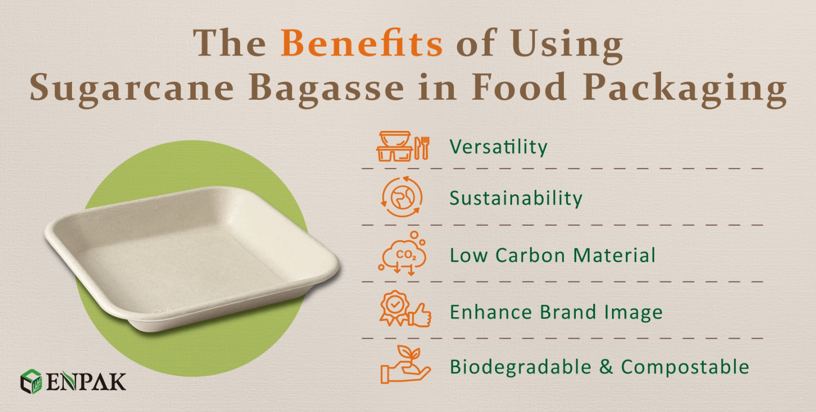Sugarcane Bagasse 101